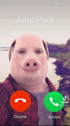 John Pork Meme Origin and Meaning - Pop Creep